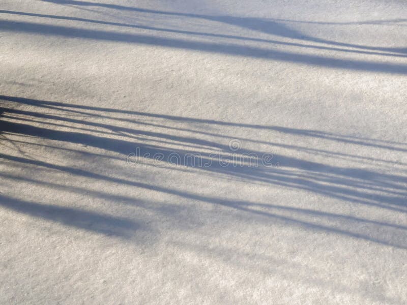 Background of Shadows on Fresh Snow Surface Stock Image - Image of ...