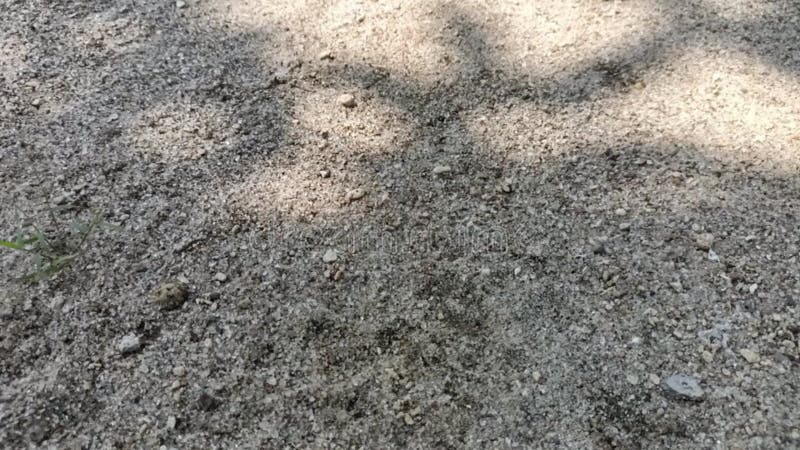 Shadows Palm Leaf in Wind Overlay on Sand Beach Stock Video - Video of ...