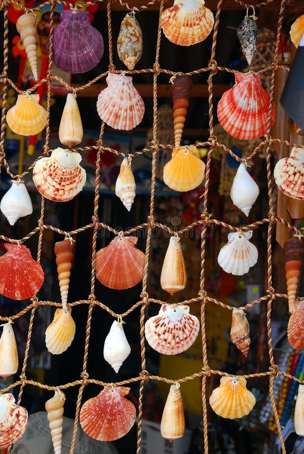 Shells on a string stock image. Image of pattern, string - 101696549