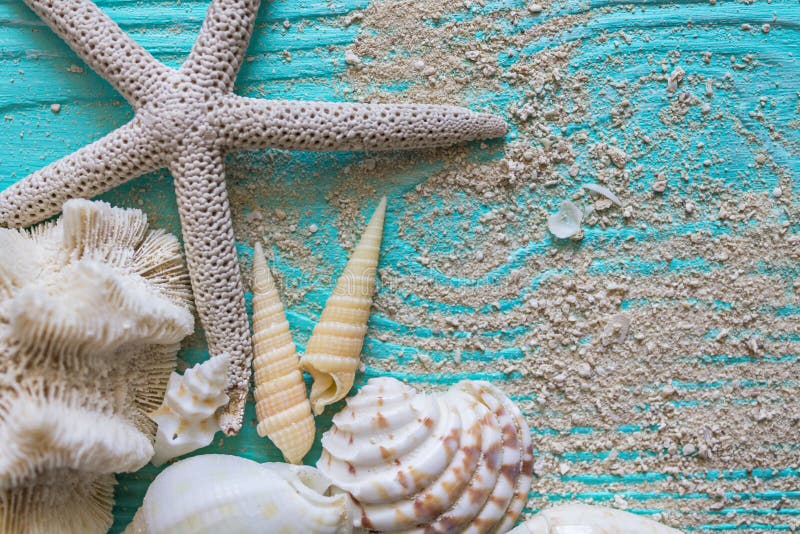 Background of the Shells. Copy Space. Marine Concept Stock Photo ...