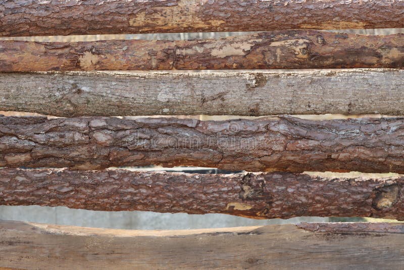 A Shield from Boards of Coniferous Trees Stock Photo - Image of bark ...