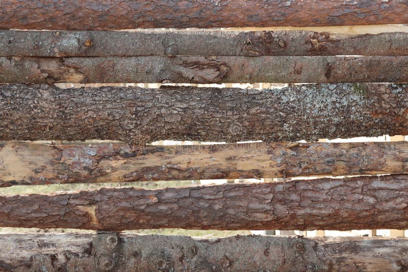 A Shield from Boards of Coniferous Trees Stock Image - Image of wood ...