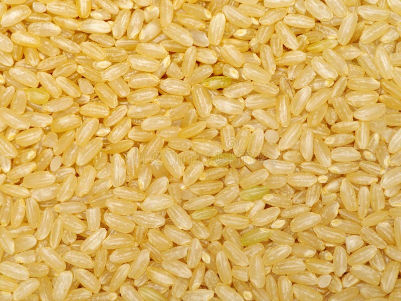 Short grain brown rice stock image. Image of organic - 143876981
