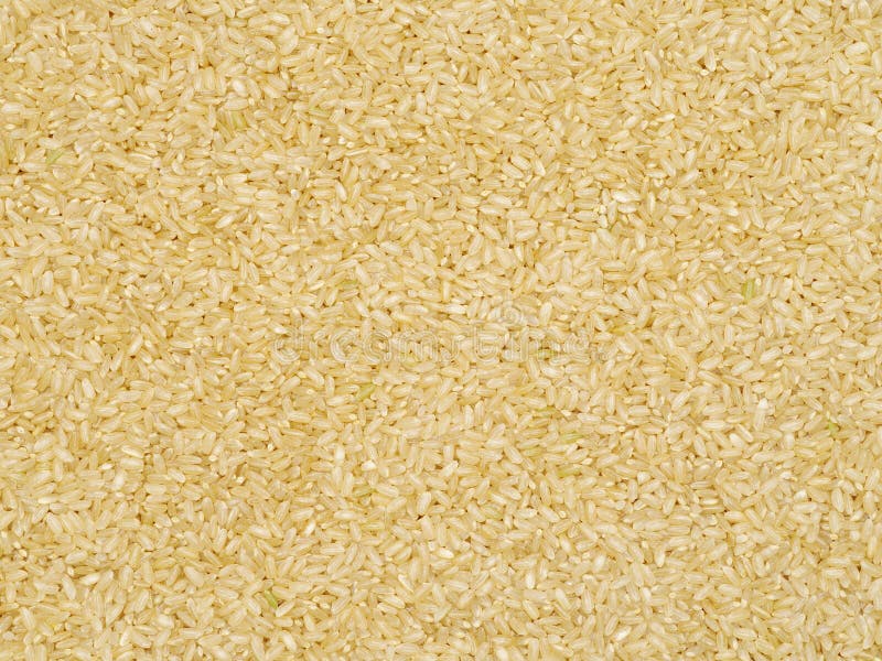 Short grain brown rice stock photo. Image of textures - 144879526