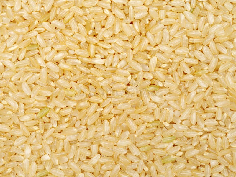 Short grain brown rice stock image. Image of grain, textures - 144879531