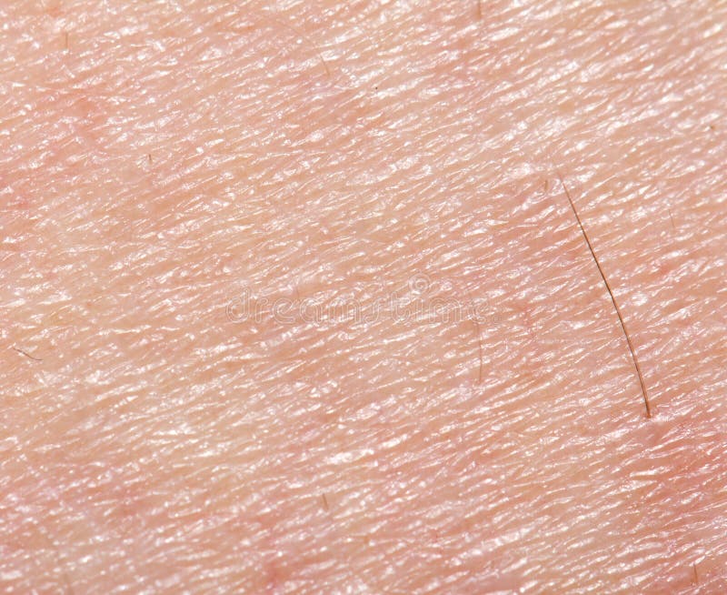 Background skin. macro stock image. Image of body, human - 100497681