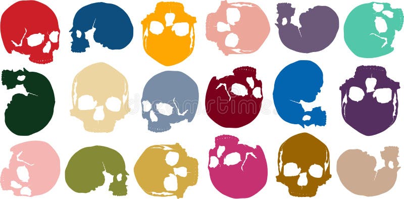 Colored Skulls Vector Illustration Stock Illustration - Illustration of ...