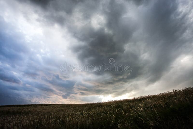Background of the Sky with Clouds at Sunset with Ground Stock Photo ...