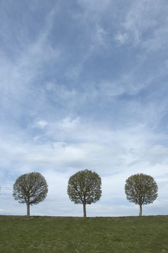Background of Sky, Grass and Trees Stock Photo - Image of field, hiking ...