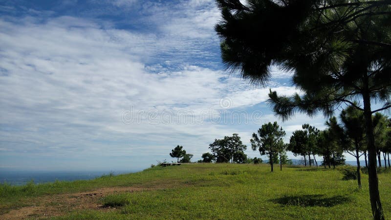 The Sky and Tree Background Stock Image - Image of eggs, minimum: 160223087