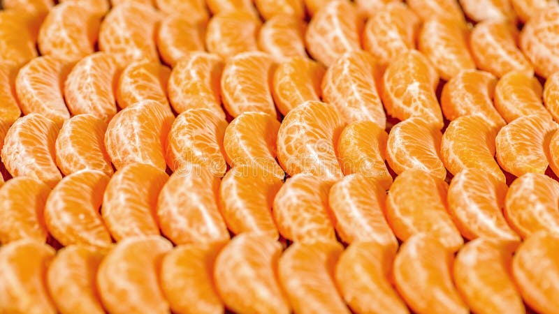 Background from Slices of Mandarin is Laid Out in Neat Rows Stock Image ...