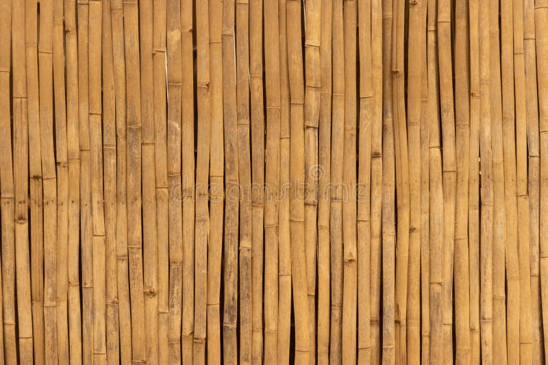 148 Bamboo Slide Stock Photos - Free & Royalty-Free Stock Photos from ...