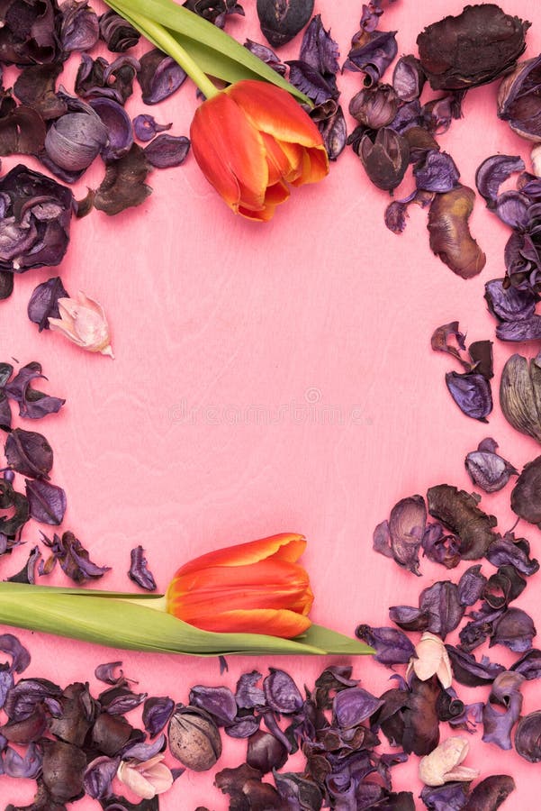 Background with Small Elements Bamboo Background Stock Image - Image of ...