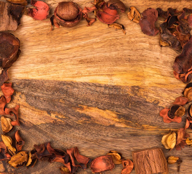 Background with Small Elements Mango Tree Stock Image - Image of easter ...