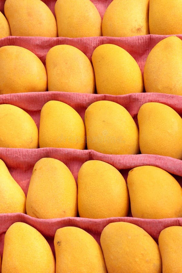 Small mango stock photo. Image of closeup, mango, color - 13772626