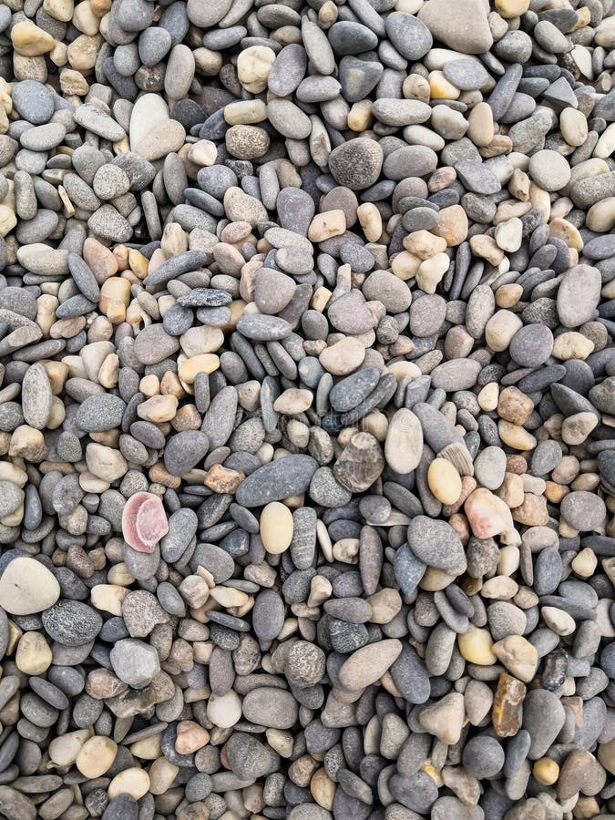 Background of Small Multi-colored Sea Stones Stock Image - Image of ...