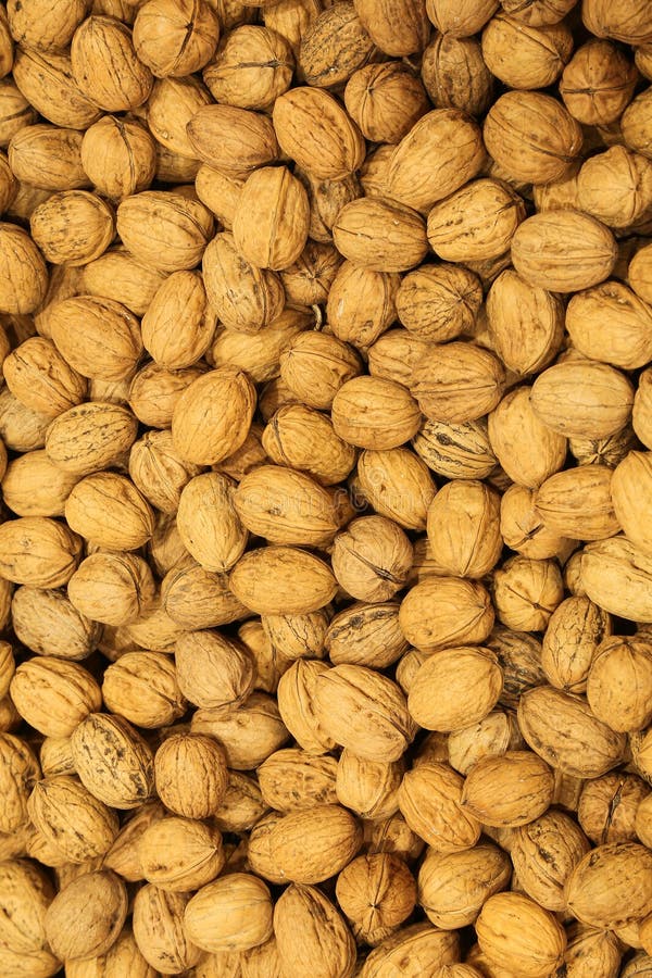 Background of Small Organic Walnuts Just Harvested Stock Photo - Image ...