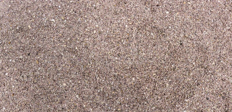 Background of Small Pinkish Shells, Texture for Design Stock Image ...