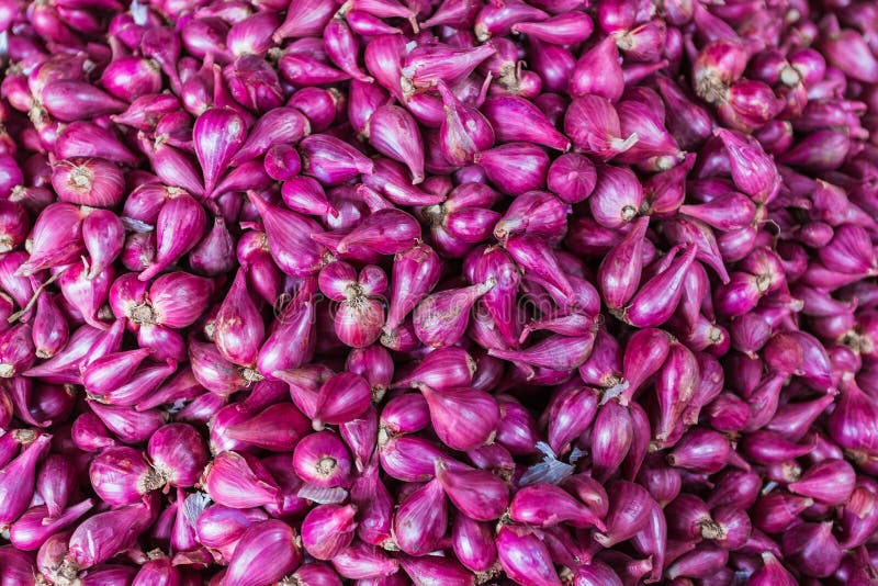 Background of Small Red Onions Stock Photo - Image of culinary, local ...
