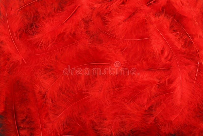 Background - Small Red Plumes Situated Irregularly Stock Photo - Image ...