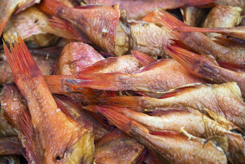 Set of smoked fish stock image. Image of nutrition, nature - 176807559