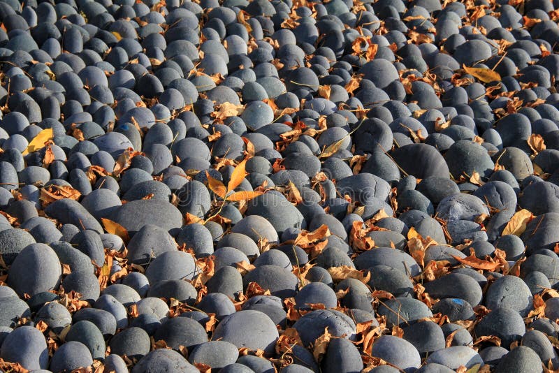 Fall Creek with Rocks and Trees Stock Photo - Image of geological ...