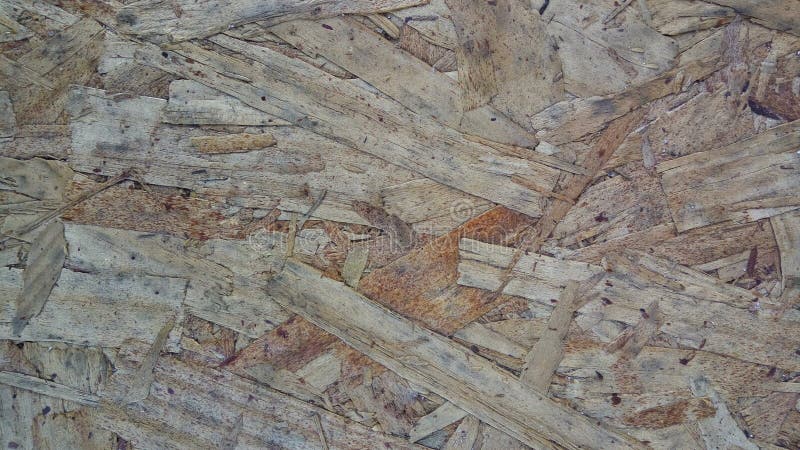 Background, Smooth Wood Texture, Tree Trunk, Shades of Brown, Plain ...