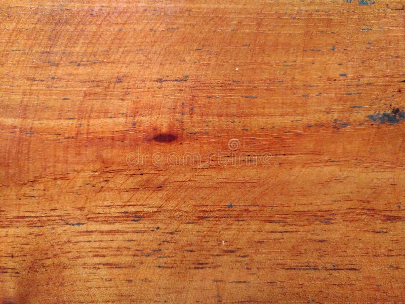 Background, Smooth Wood Texture, Tree Trunk, Shades of Brown, Plain ...