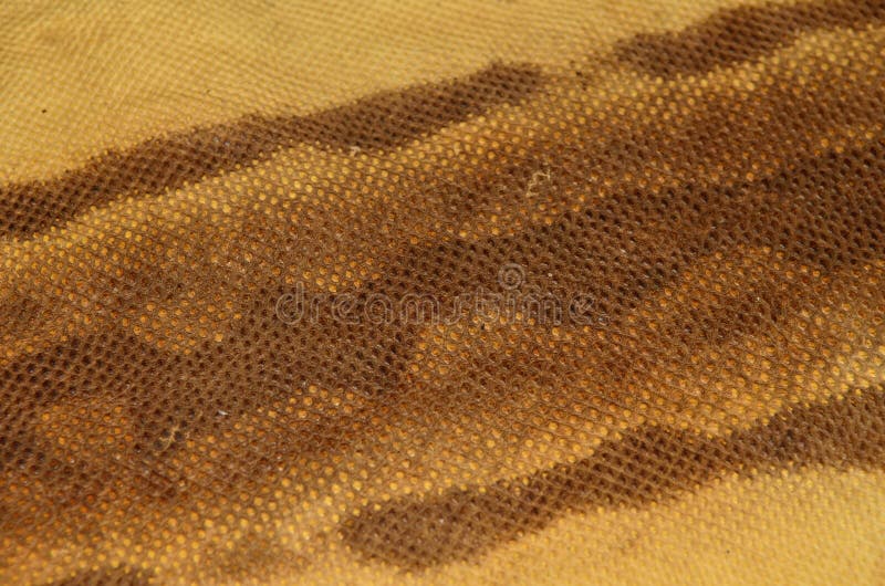 Background of Snake Skin Leather Texture Stock Image - Image of reptile ...