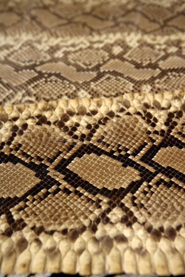 Background Snake Skin Pattern Brown Stock Photo - Image of natural ...