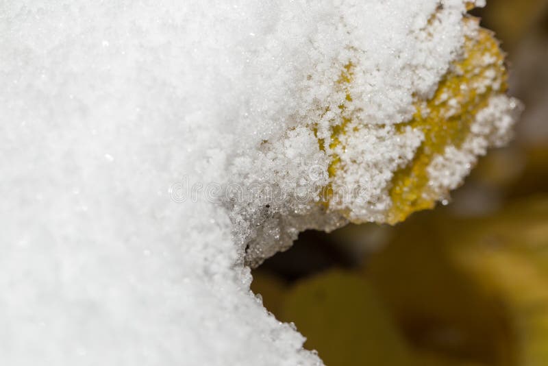 Background of snow. macro stock photo. Image of color - 89592326