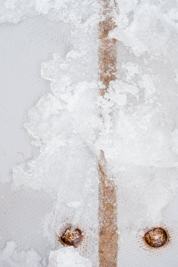 Icicle Frozen Branch Black White Photo Close Stock Photos - Free ...