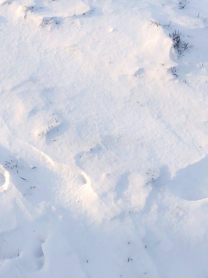 Background from Snow Shined with the Sun Stock Photo - Image of shiny ...
