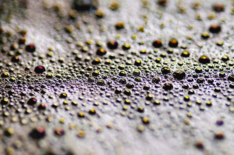 200 Graduation Transparent Background Stock Photos - Free & Royalty ...