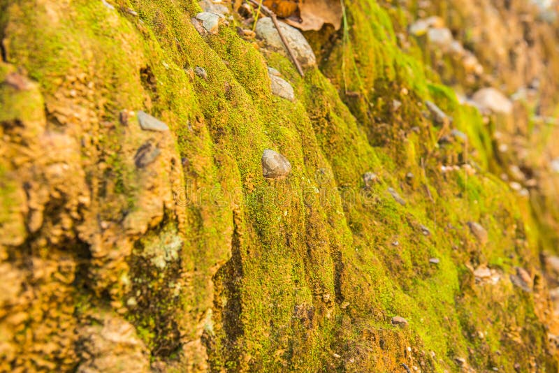 Background of soil layers stock photo. Image of texture - 187608874