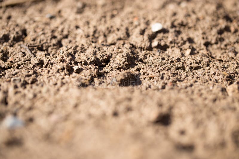 Background soil stock photo. Image of conservation, background - 100643934