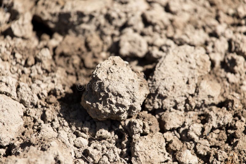 Background soil stock image. Image of abstract, summer - 107649141