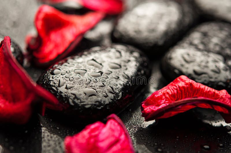 Background Spa. Black Stones and Red Petals Stock Photo - Image of ...