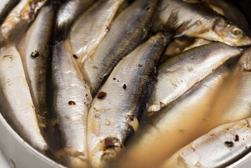 Background of sprat stock image. Image of hand, gourmet - 103590501