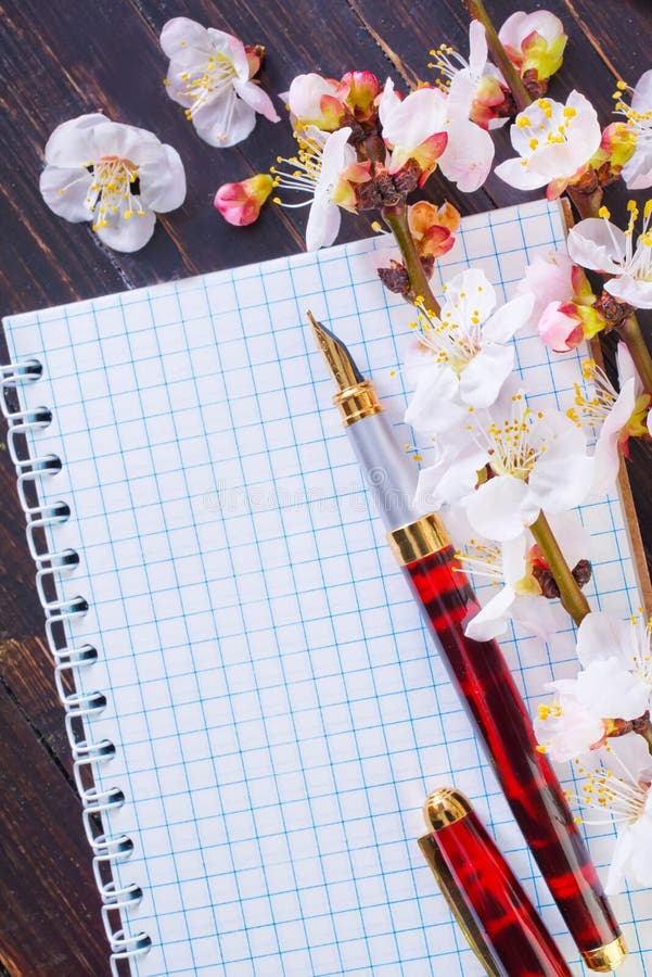 Background stock image. Image of elegance, copy, beautiful - 38698075