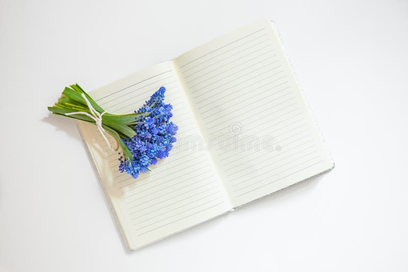 Background with Spring Flowers and Notepad Stock Image - Image of ...
