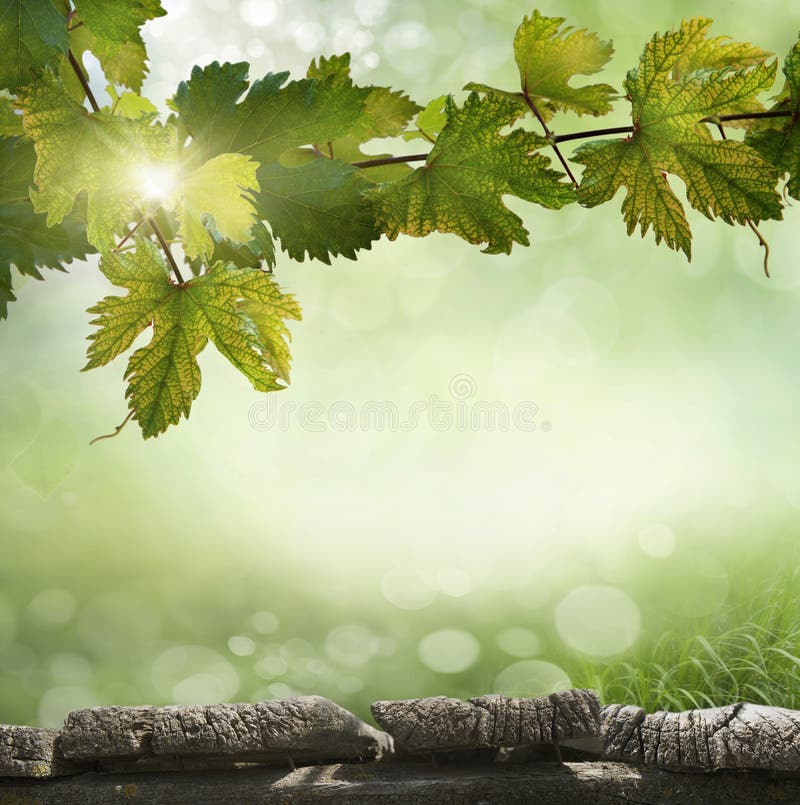 Background spring stock image. Image of lush, grass, leaf - 55815673