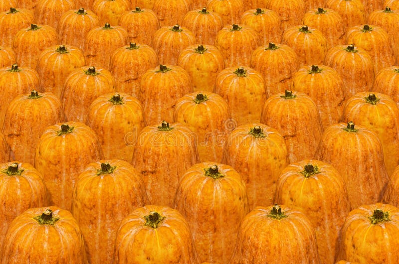 Background from Squashs with Realistic Texture, 3D Rendering Stock ...