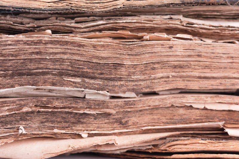 Paper Texture Crocodile Skin Pattern Stock Photo - Image of surface ...