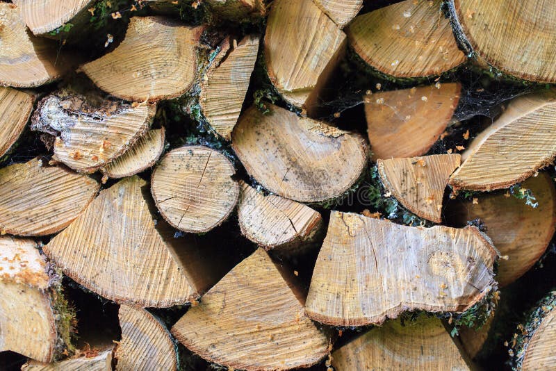 Background of Stacked Chopped Firewood Logs Stock Image - Image of ...