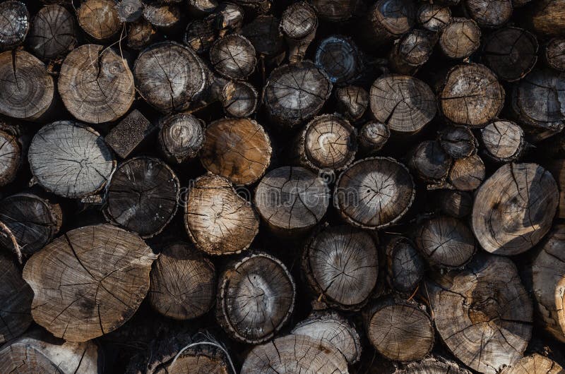 Background of Stacked Logs,logs Stock Photo - Image of nature, pile ...