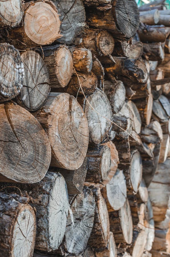 Background of Stacked Logs,logs.Ecological Method of Heating Stock ...