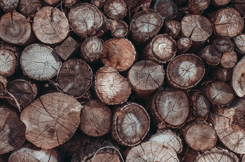 Background of Stacked Logs,logs.Ecological Method of Heating Stock ...