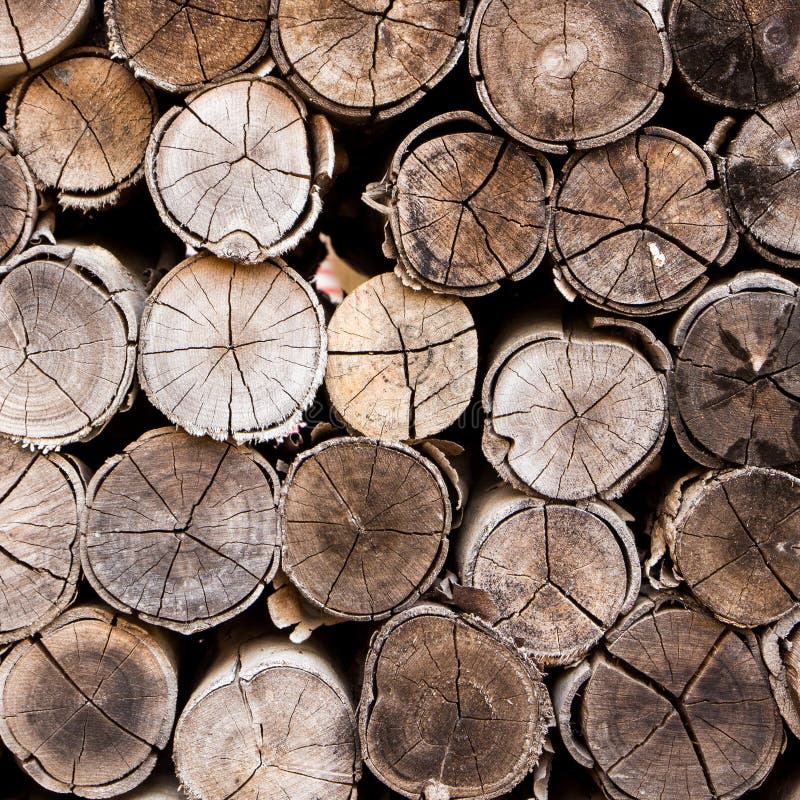 Background of Stacked Timber Logs Stock Image - Image of pattern, pine ...