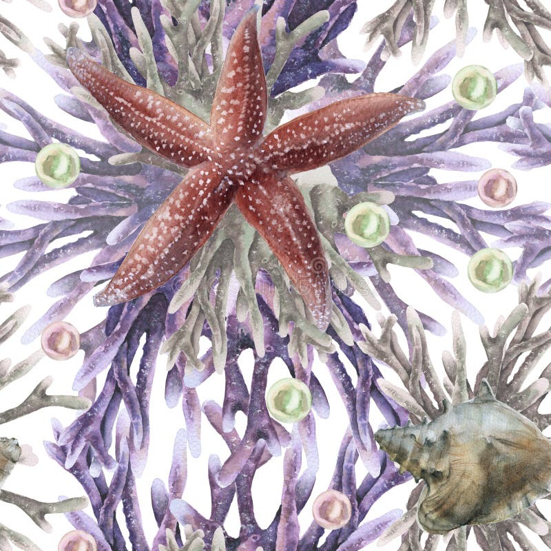 Background with Starfish. Seamless Pattern Stock Illustration ...